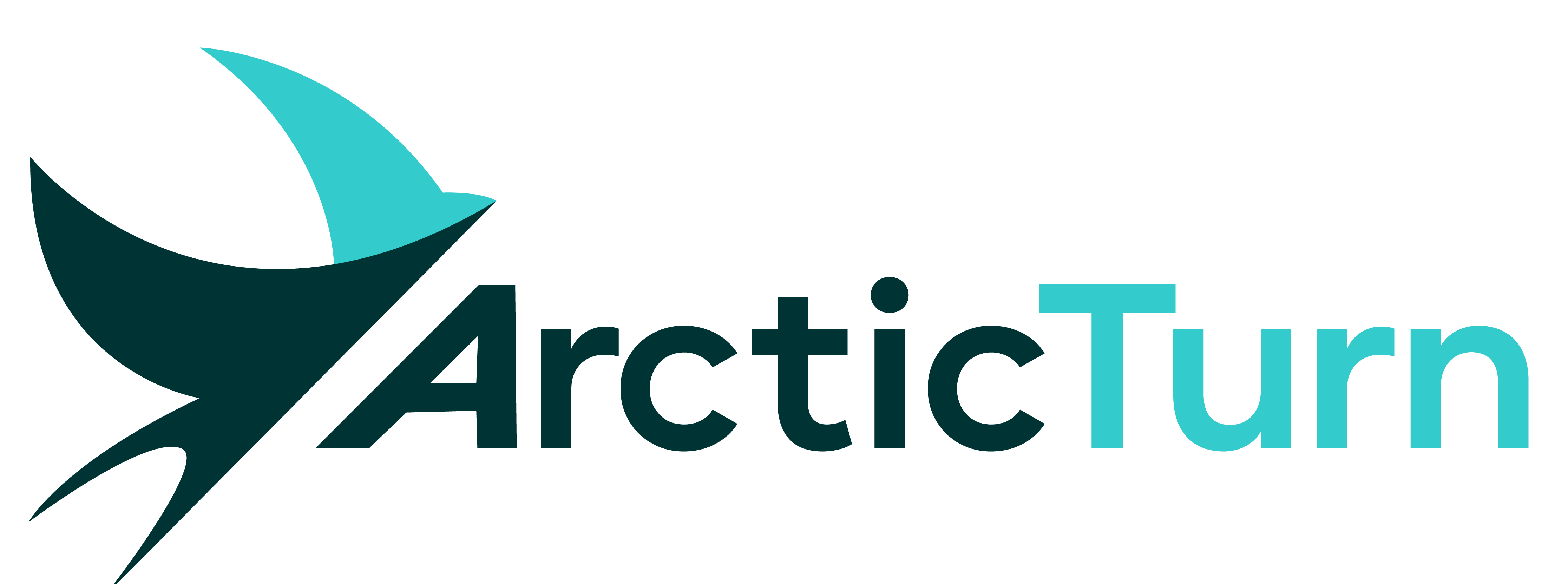Arcticturn
